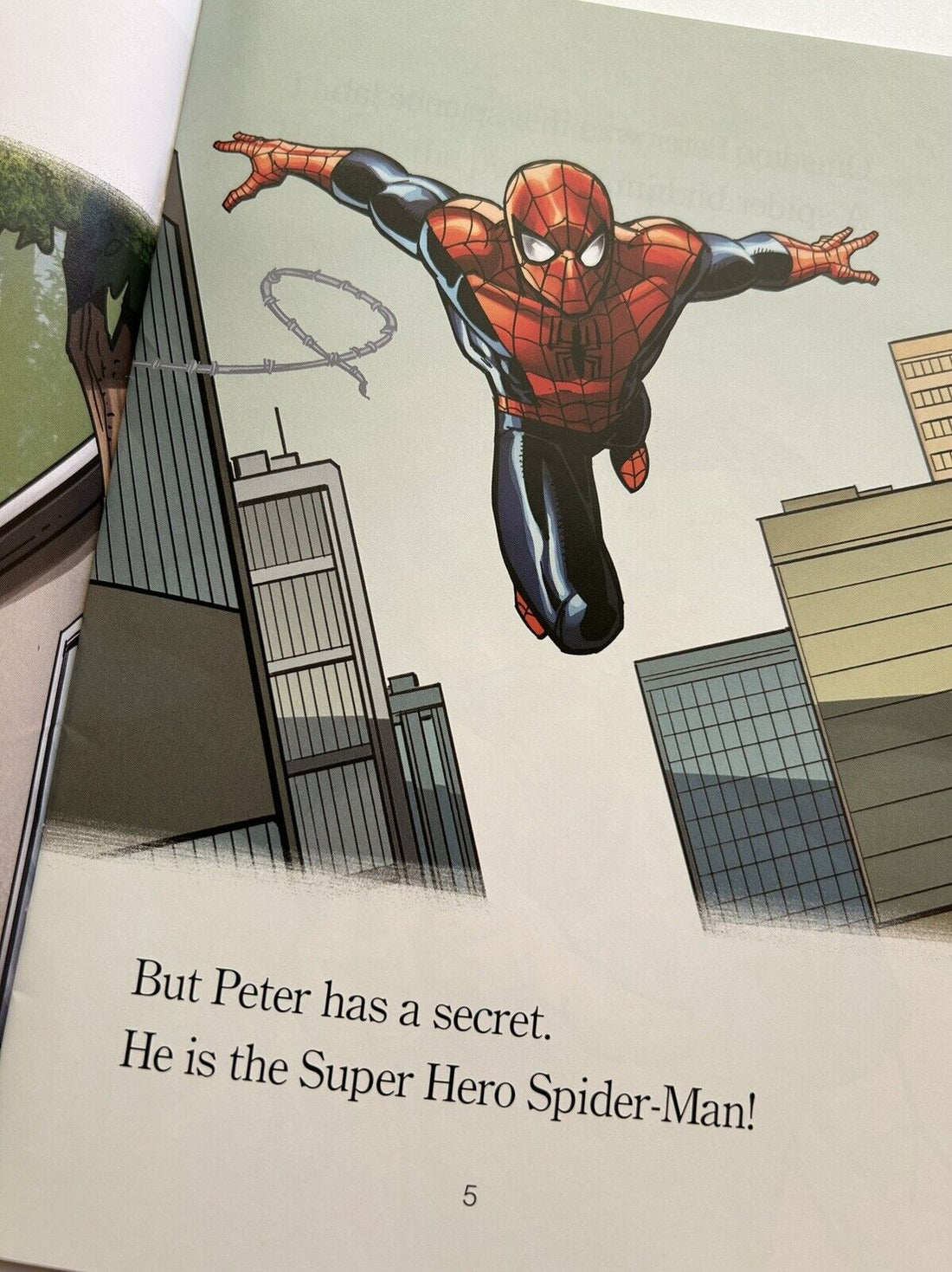 Marvel Books - SPIDER-MAN: THIS IS SPIDER-MAN Hero Reader Level 1 – JaqJnr